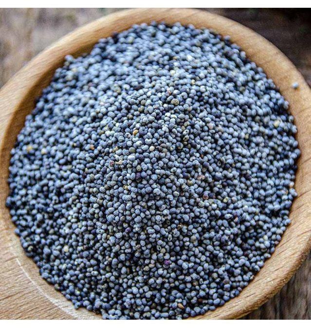 Blue Poppy Seeds – First Touch Enterprises